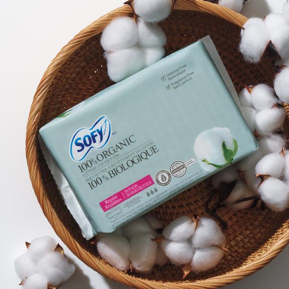 SOFY Regular Pantyliner Sanitary Pads - Avon Specialist | Shop ...