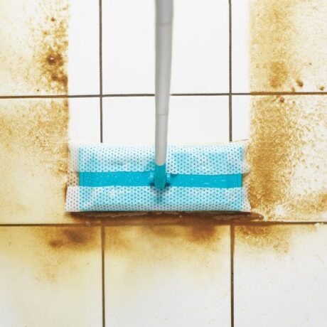 Homestar Foaming Toilet Bowl Cleaner - Avon Specialist | Shop Cosmetics ...